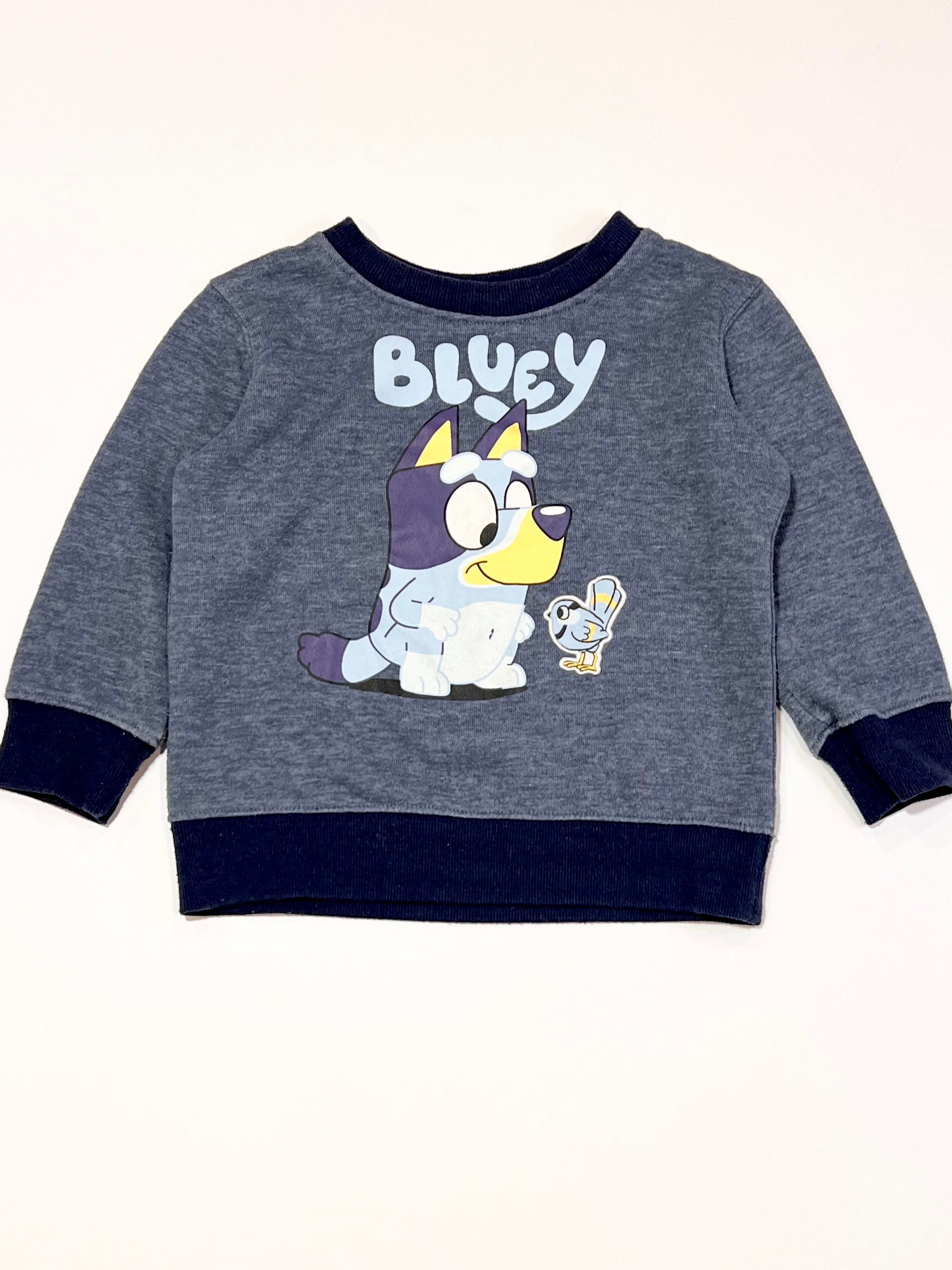 Bluey sweater - Size 3 – Recyclababy